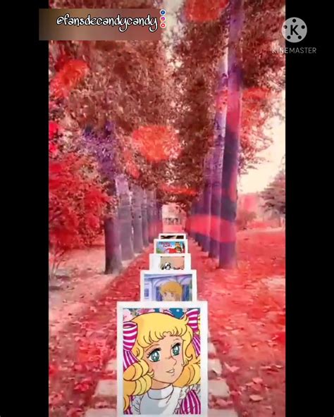 Image result for Candy Candy Capitulo 40