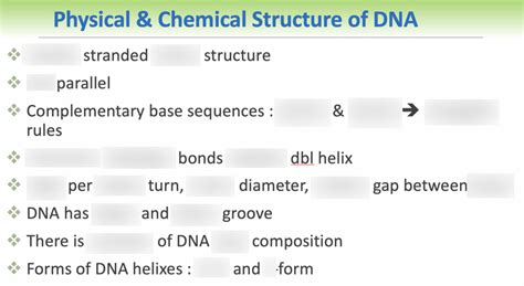 Physical & Chemical Structure of DNA Diagram | Quizlet