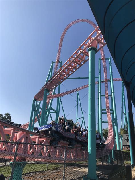 Image result for Xcelerator Roller Coaster
