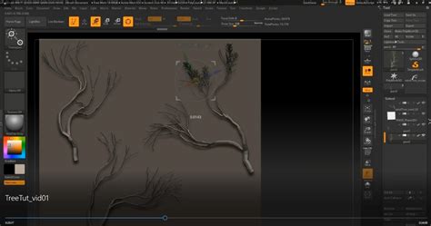 Image result for Tree Texture Maya