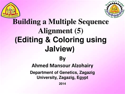 Image result for Sequence Alignment Coloring