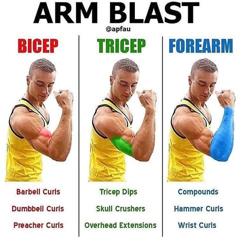 Image result for Arm Exercise Routine
