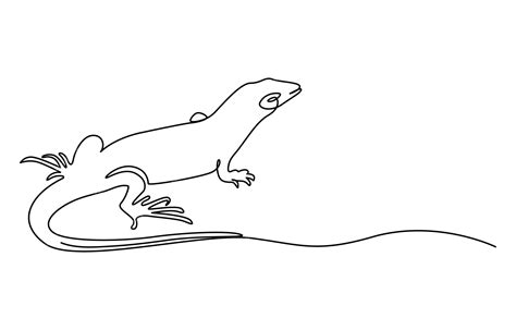Image result for Simple Line Drawings Lizard