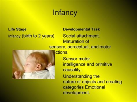 Image result for Stages of Development