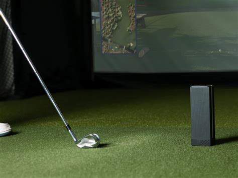 Image result for Golf Simulator Ceiling