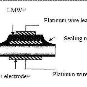 Image result for How Does a Linear Oxygen Sensor Work