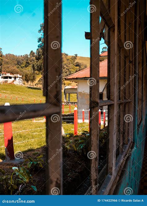 Image result for View Thru Window