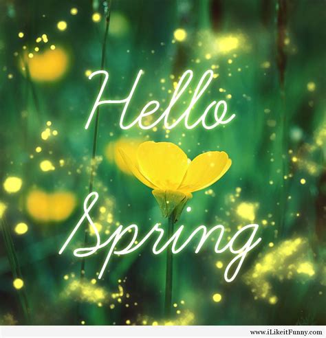 Image result for Hello Spring Cute Backgrounds