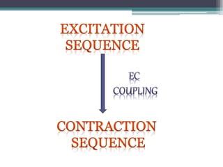 Image result for Excitation-Contraction Coupling Graph