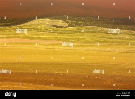 Image result for Pollution Background