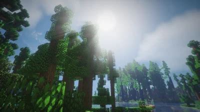 Image result for Continuum Shaders Minecraft
