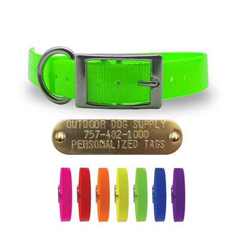 Image result for Metal Collars for Dogs