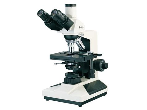 Biological Microscope | Lanoptik Technologies