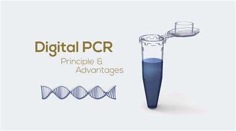Image result for Real-Time PCR Technology