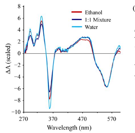 Image result for Transient Absorption Spectroscopy