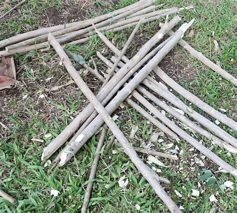 Image result for Simple Compost Pile