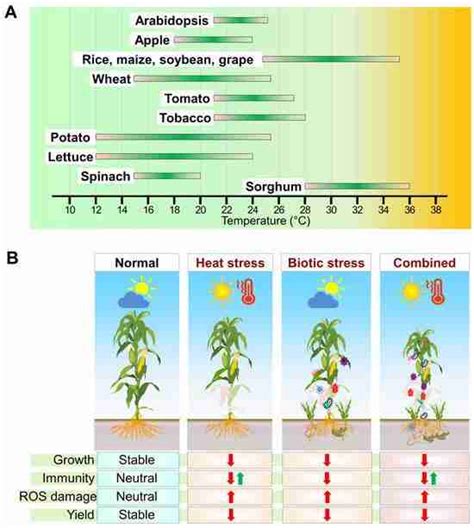 Image result for Chapter 12 Milled Rice