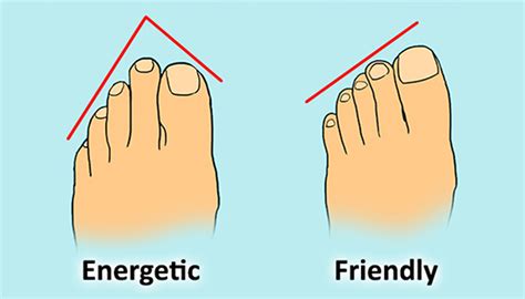 Image result for Different Types of Toes