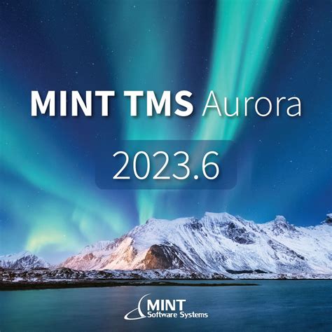 Image result for Mint Management Technology and Software