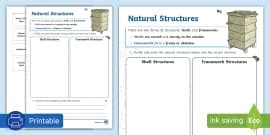 Image result for Main Types of Structure Shell Frame Kids