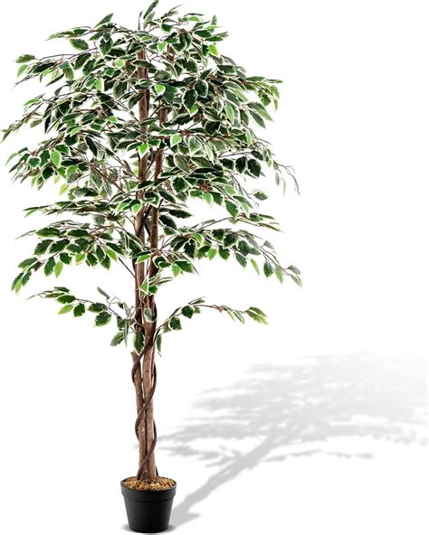 Image result for Fake Ficus Tree