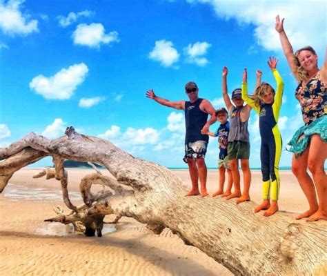 Image result for Palfish Introduction Example