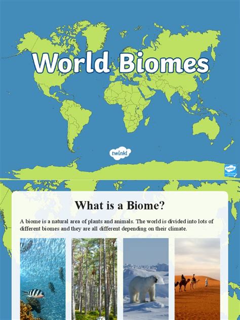 Interactive World Biomes Map Powerpoint | PDF | Forests | Grassland