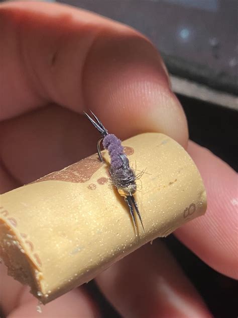 Image result for Fly Tying Stonefly Patterns