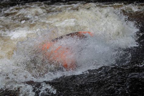 Image result for Capsizing Kayak