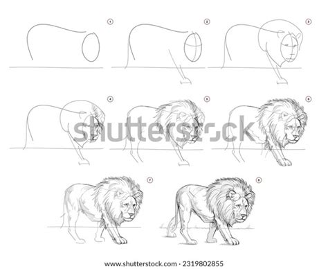 Image result for How to Draw Animals Easy Step by Step