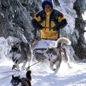 Image result for Snow Dogs Cast