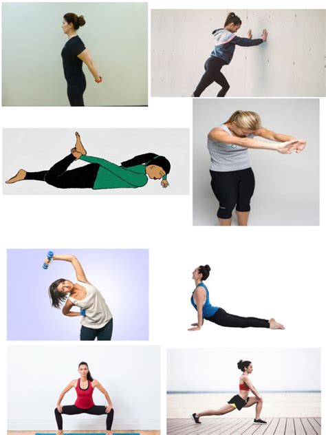 Image result for Dynamic Stretching Definition