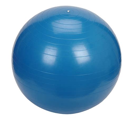 Image result for Small Blue Exercise Ball