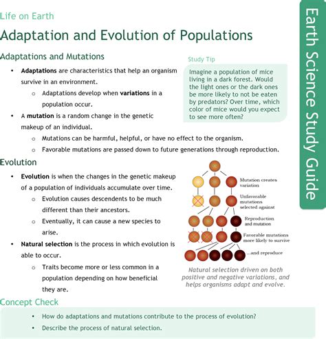 Image result for Adaptation vs Evolution