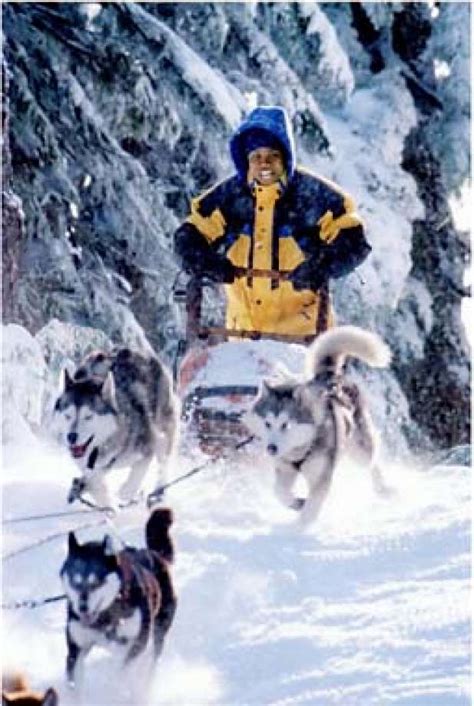 Image result for Snow Dogs Disney Channel Promo
