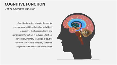 Image result for Cognitive Function