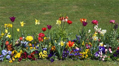 Image result for To Spring Up