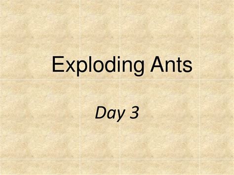 Image result for Exploding Ants No Commentary