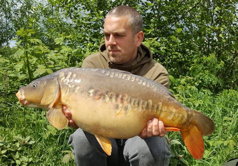 Image result for Pool Digger