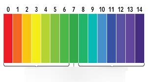 Image result for Lumen Learning pH Level