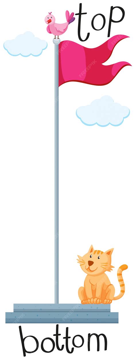 Image result for Top and Bottom Clause