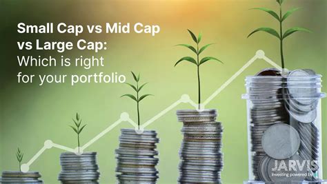 Image result for What Is Large Cap Mid Cap Small Cap