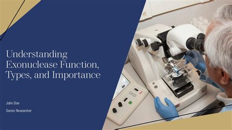 Image result for Exonuclease Function