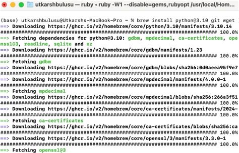 Image result for Customize Python Installation for Stable Diffusion