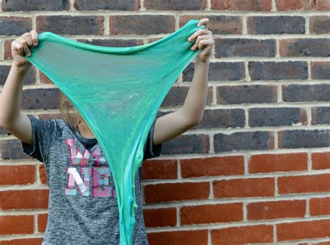 Image result for Science Day Project How to Do New