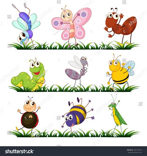 Image result for Insects Group
