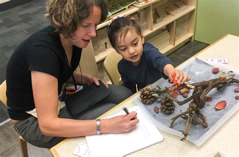 Image result for Class Observation Video Preschool