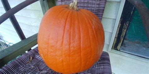 Image result for Akaso Keychain Camera