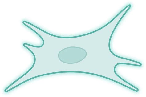 Image result for Reprogram