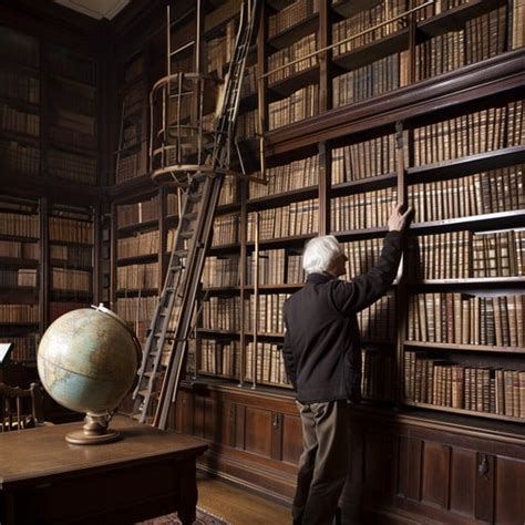 Image result for Judith Angel Library Ladder